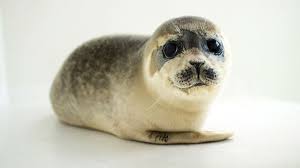 seal flop! (UPDATE!!!) by Gasoli