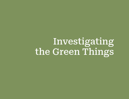 Investigating the Green Things by Ampersand