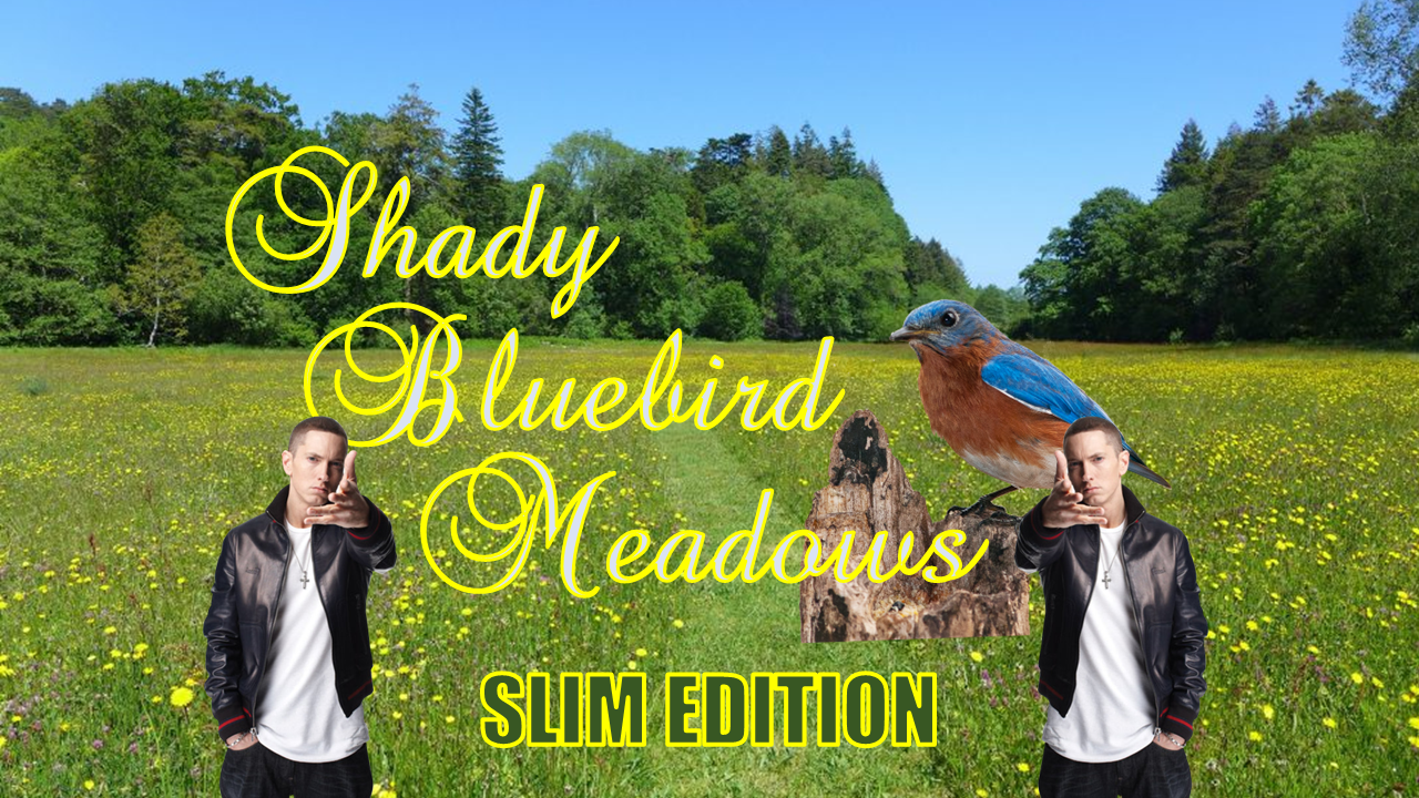 Shady Bluebird Meadows: Slim Edition by Roachie