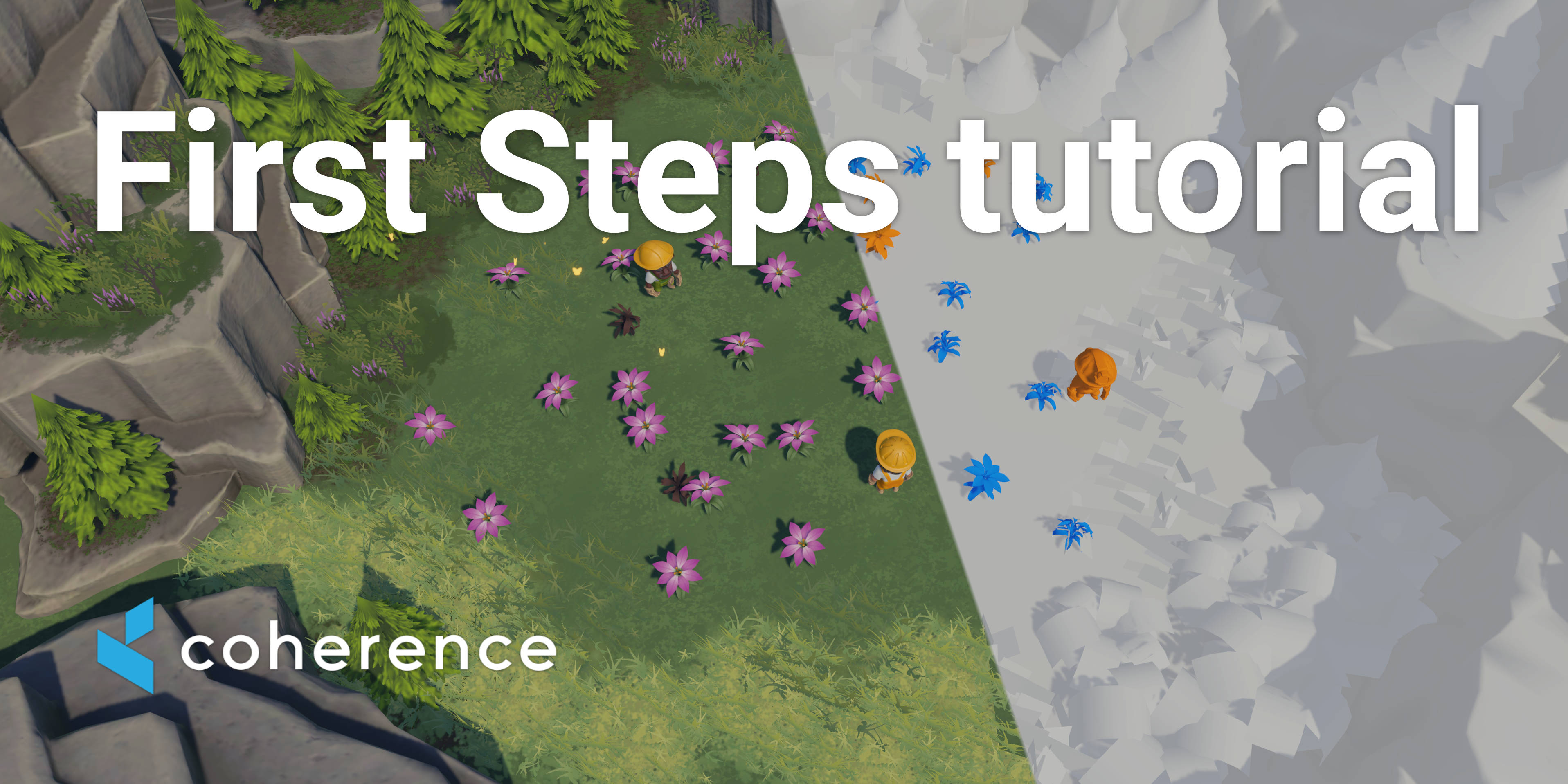 coherence Tutorial | First Steps by coherence