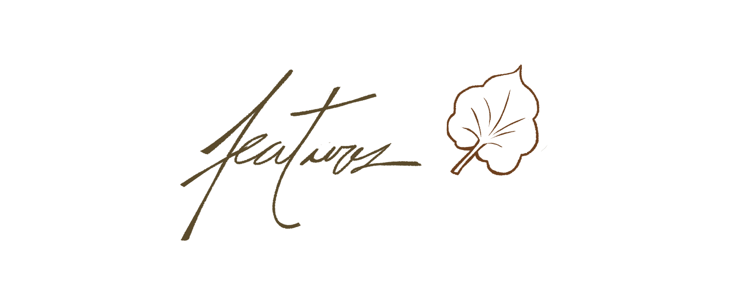 Gentle Fall [Demo] by Isa, Isa