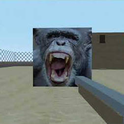 Random Chimp Event by we are everywhere