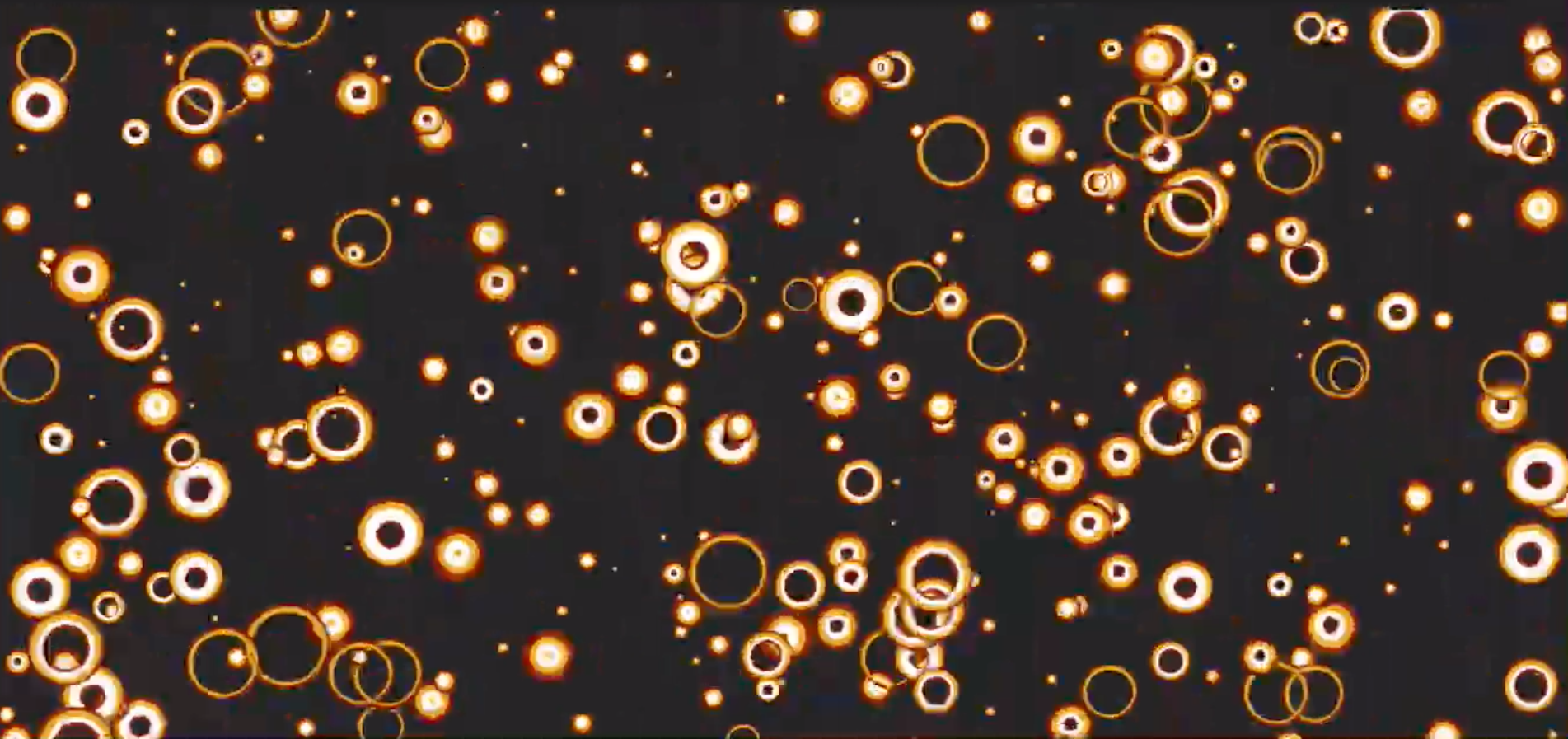 Particle System Buildbox 3 by Vlad NY