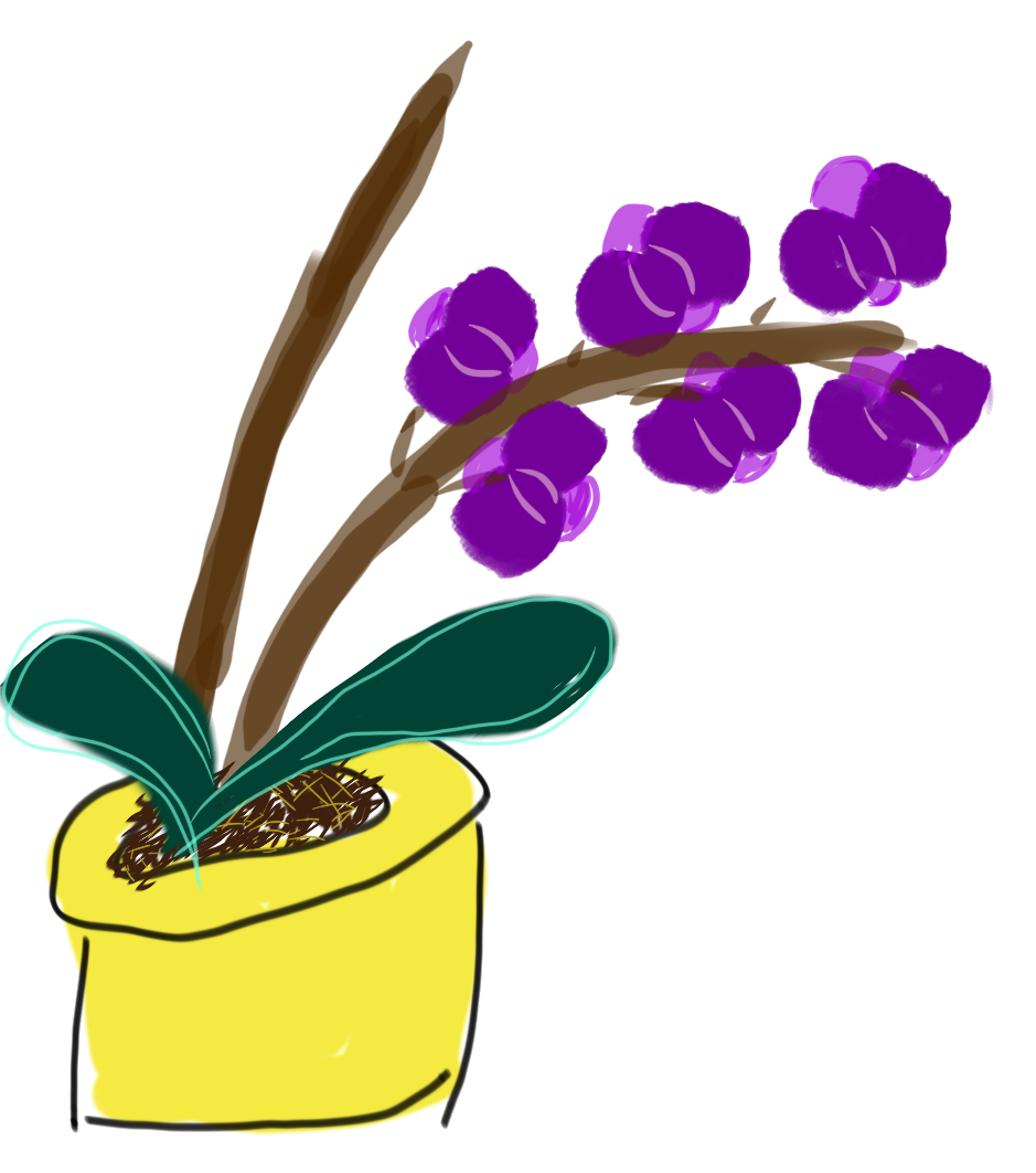 Bobo Mama Garden by Willa
