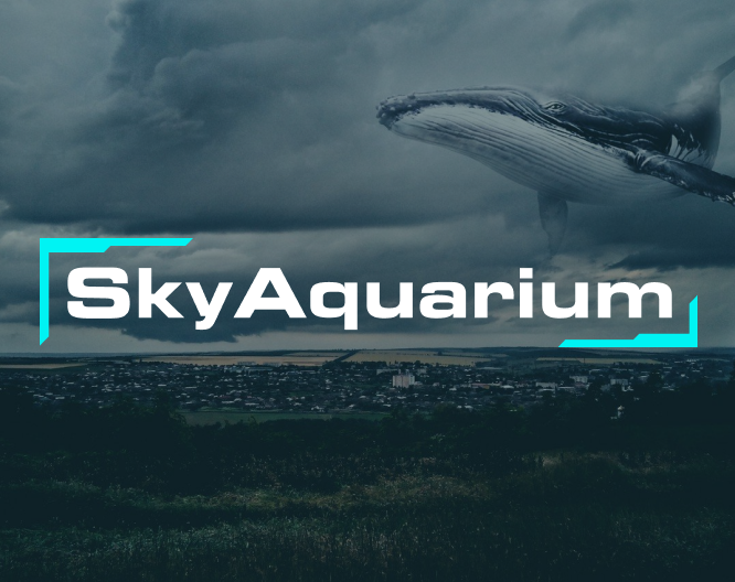SkyAquarium: Marine Life in the Clouds by Egorov Agency for 8th Wall March Challenge: Sky ...