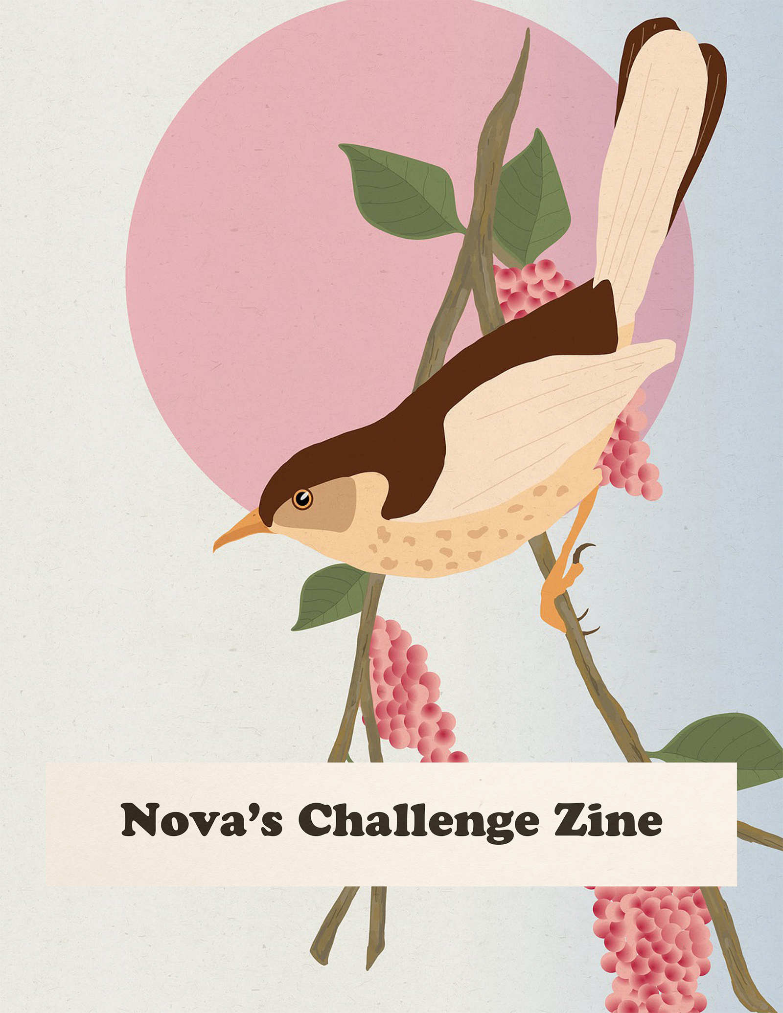 Nova's Challenge Zine by Nova