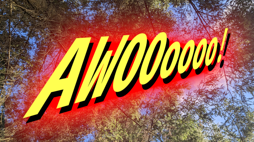 AWOOoooo (LD53) by INCD021