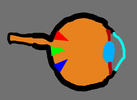 The Human Eye, Wavelength Conversion by ArturPrograms