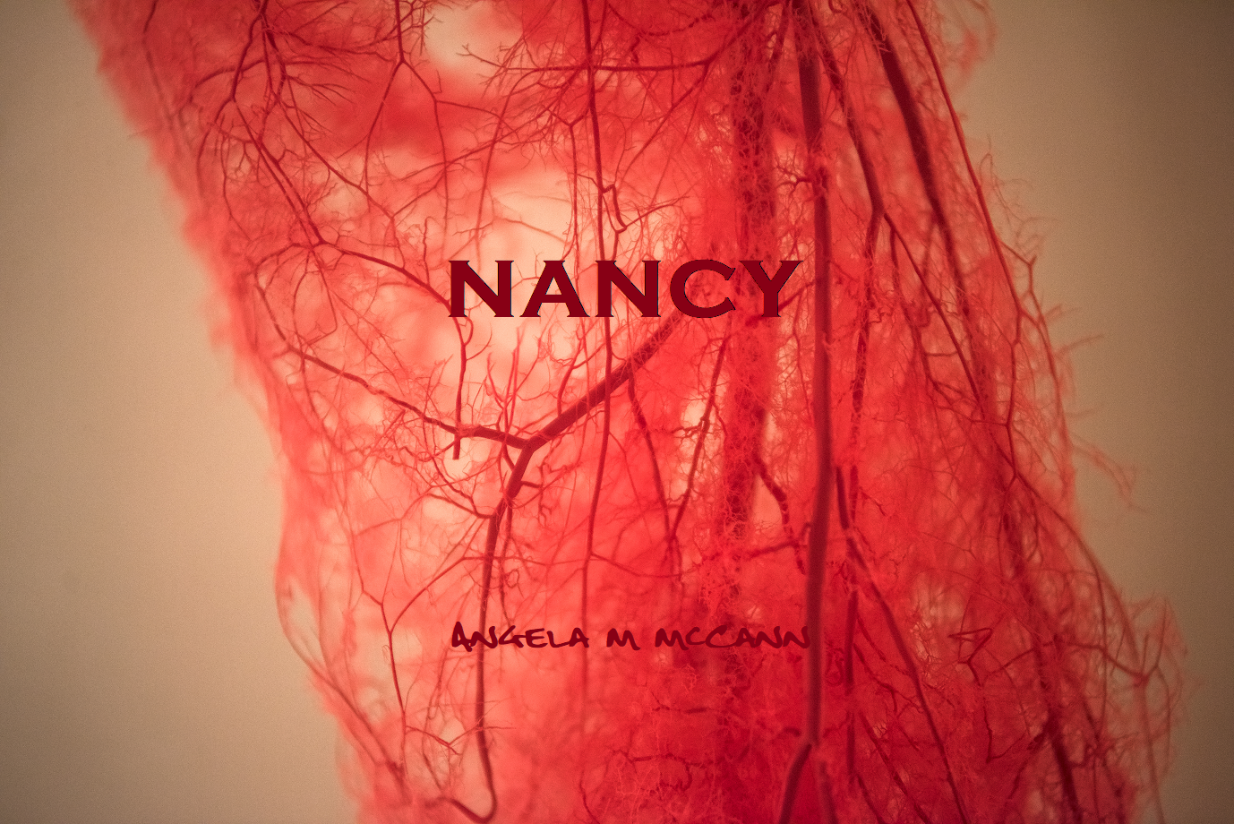 Nancy by Angela M McCann