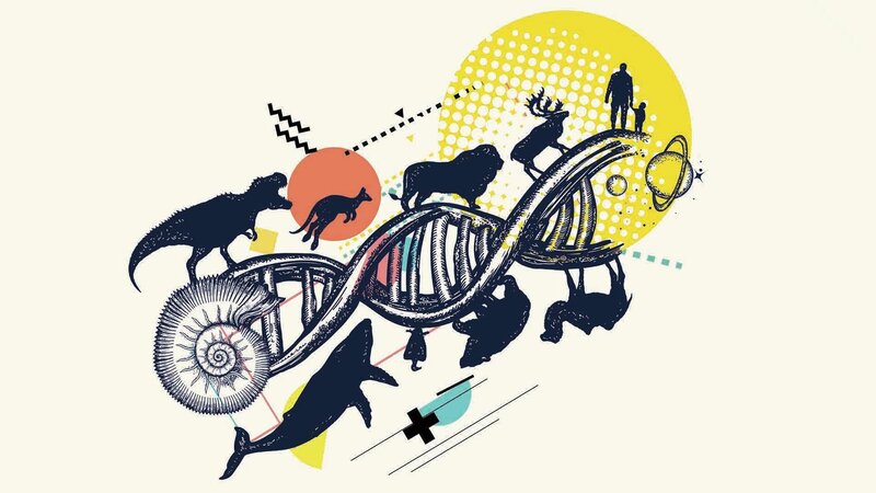 Evolution Jam - itch.io