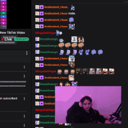 The Return of Boop!! - DVD Webcam (Twitch Integration) by Alchemy_03
