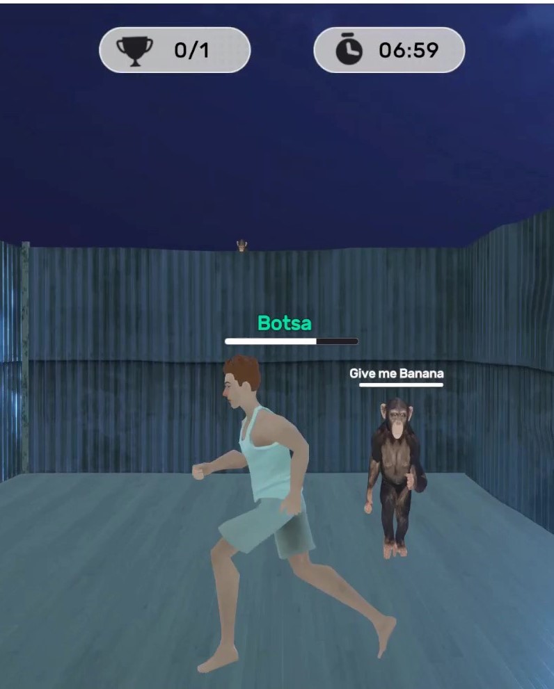 Monkey Chase by Botsa