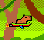 capybara fly by natha.cr7219