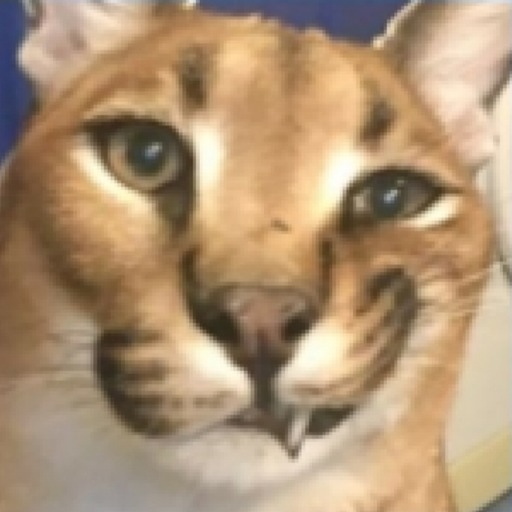 Survival with Floppa by CherryGamess