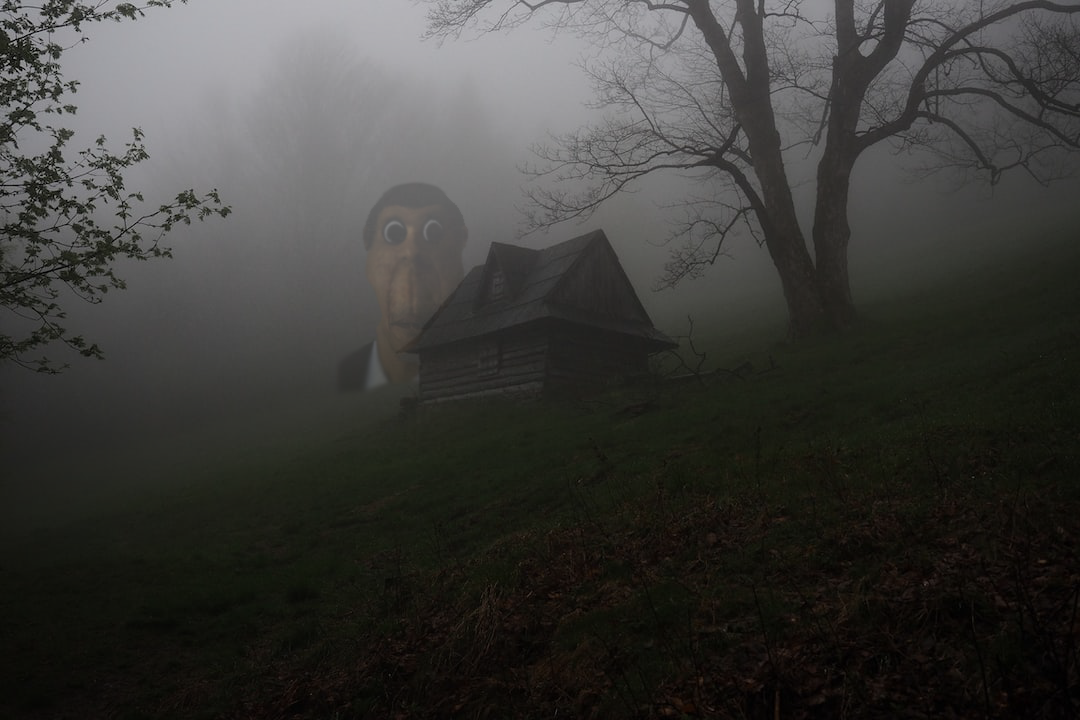 Obunga's House by kapibara47