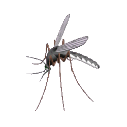 Mosquito Simulator by Mr Craft for GMTK Game Jam 2023 - itch.io