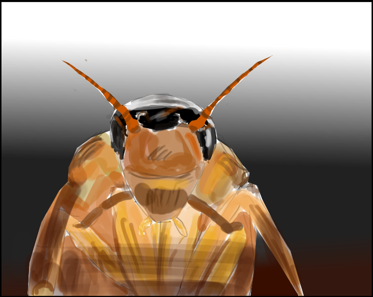 Cockroach by g-meme for Summer JAM - itch.io