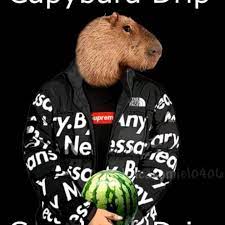 Capybara gaem by capysontop