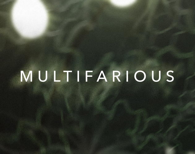 Multifarious by Anja Irniger
