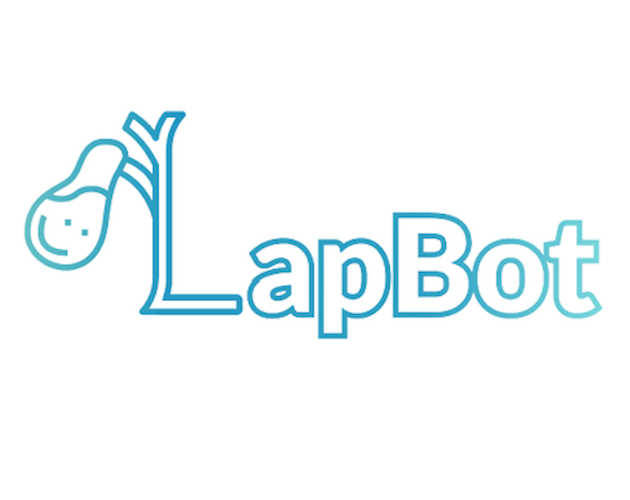 LapBot Safe Chole by Mohammad Noroozi