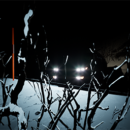 Frozen terror by MANgo