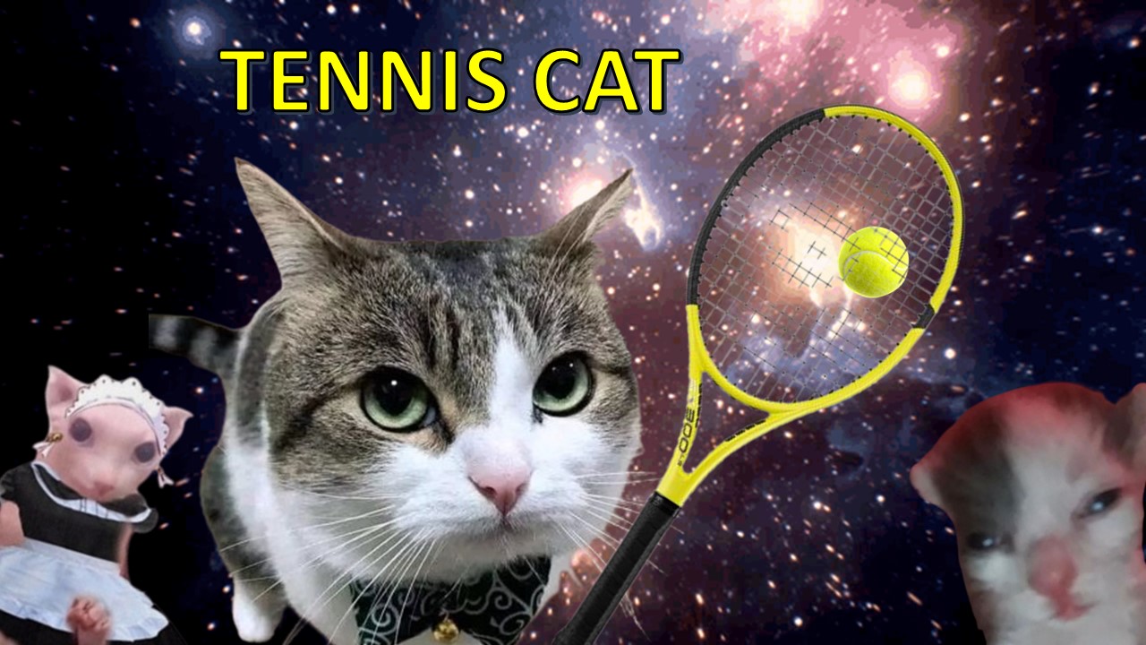 TENNIS CAT by Slaughtime.Corp