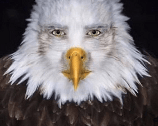 New & popular games tagged archive and Scratch - itch.io