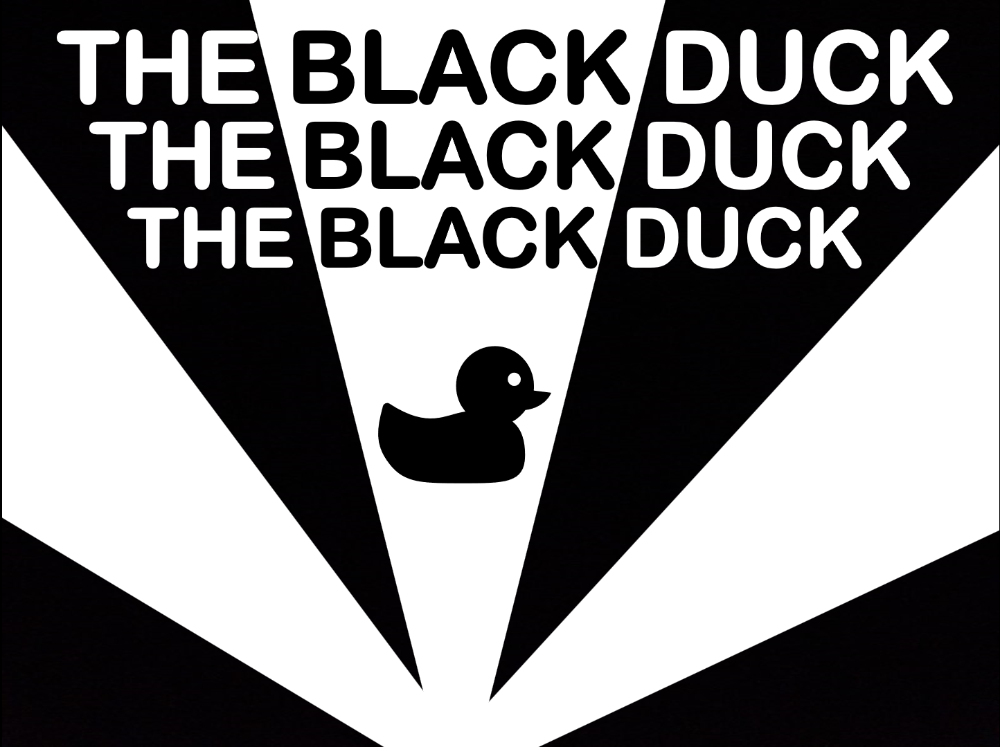 The Black Duck by Joco