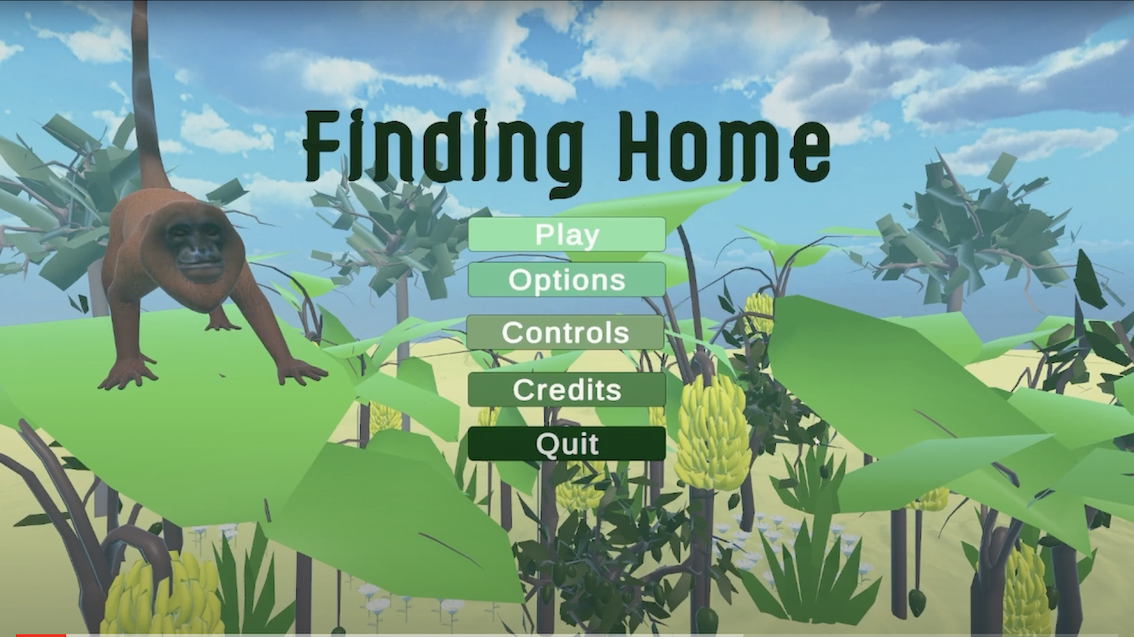 Finding Home by Alexandra, Game Designer and Developer
