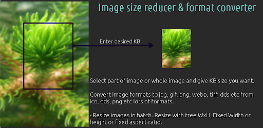 Fast Image Size Reducer & Format Converter by gamesgreh