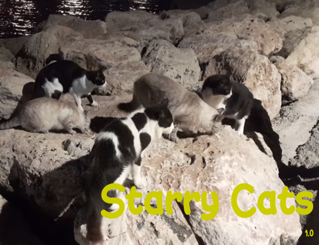 Starry Cats by Gemimarc