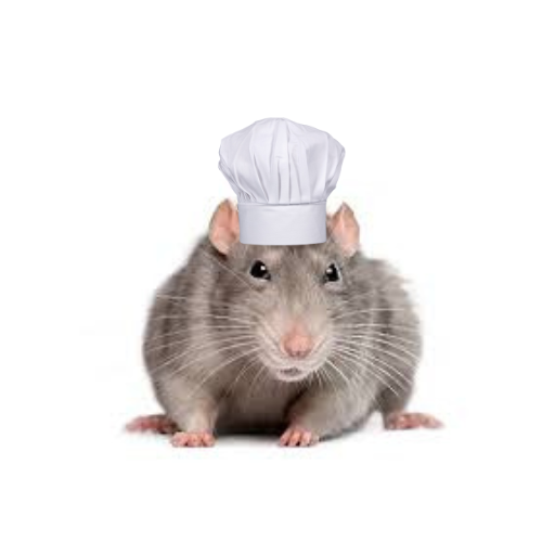 Ratatooy by Basic.devv