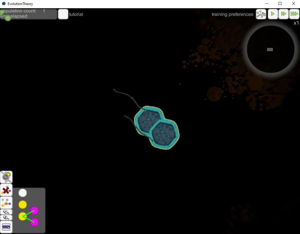 Evolution Theory by Spontaneous Simulations