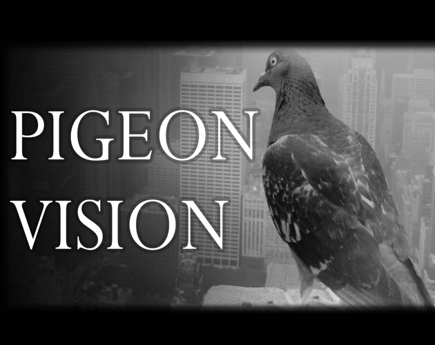 Pigeon Vision by Redplay_1