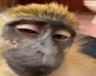 New & popular Visual Novel NSFW tools - itch.io