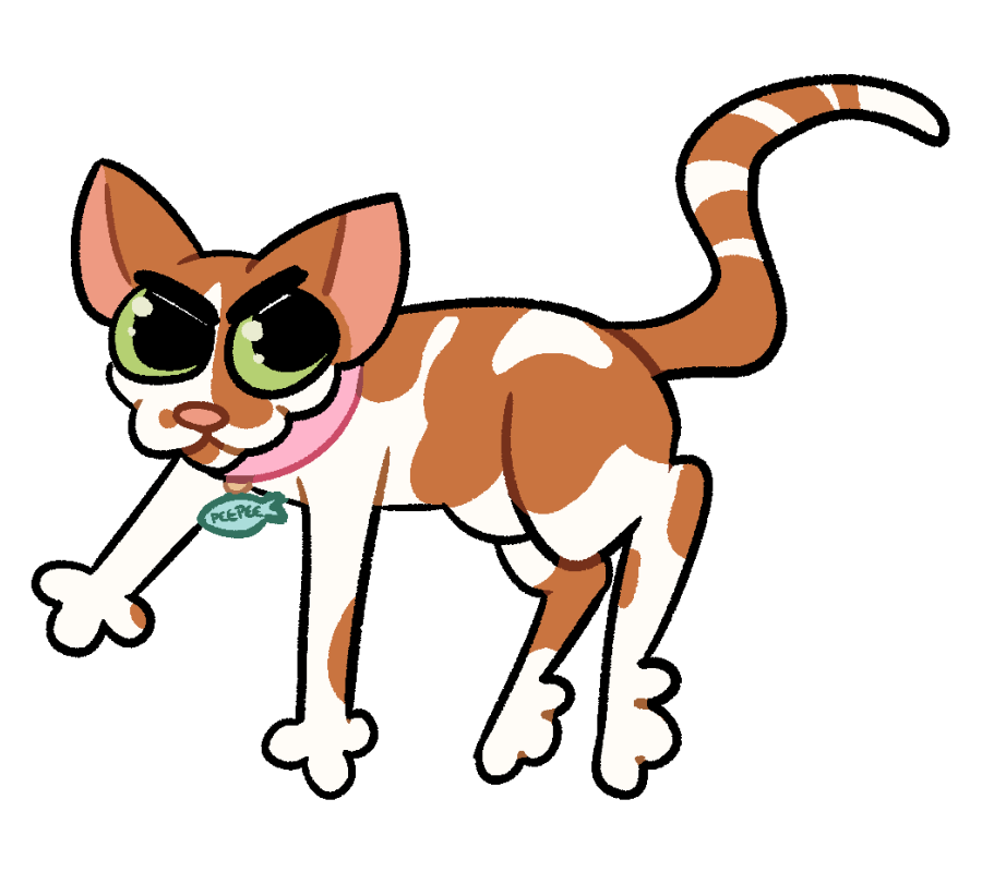 Feed the Phoebe by rose