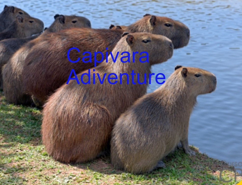 Capivara Adventure by Happy - São Leopoldo