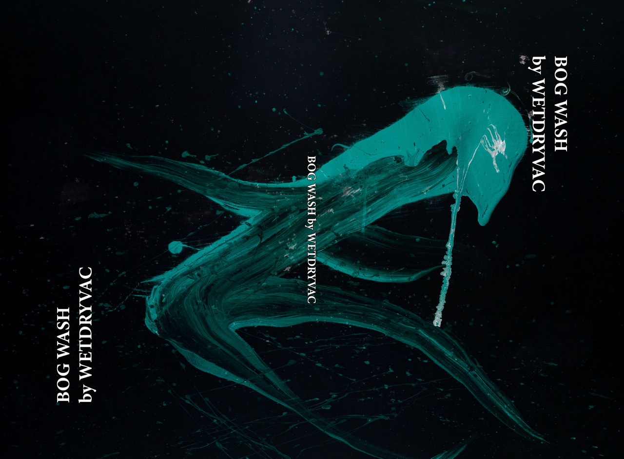 Bog Wash by wetdryvac