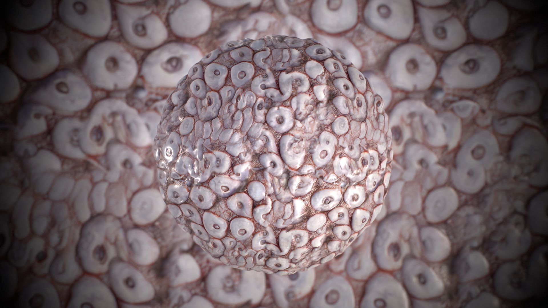 Creature Skin Texture Pack 1 by Lidya Art Studio