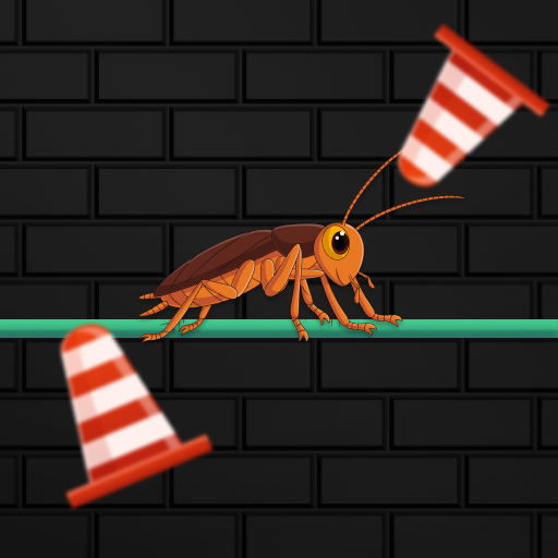 Roach Race by Muhammad Usman Asghar