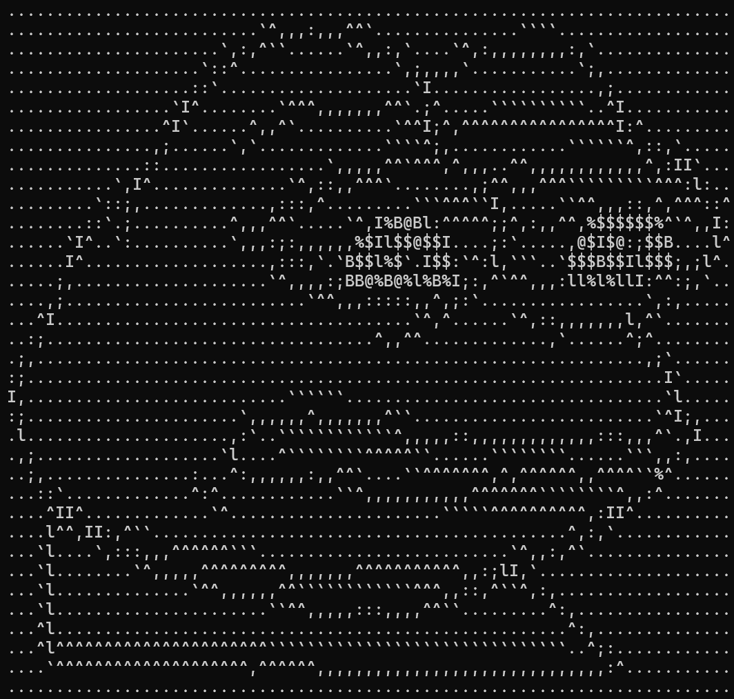 Ascii Video(s) by Arvid Reinert