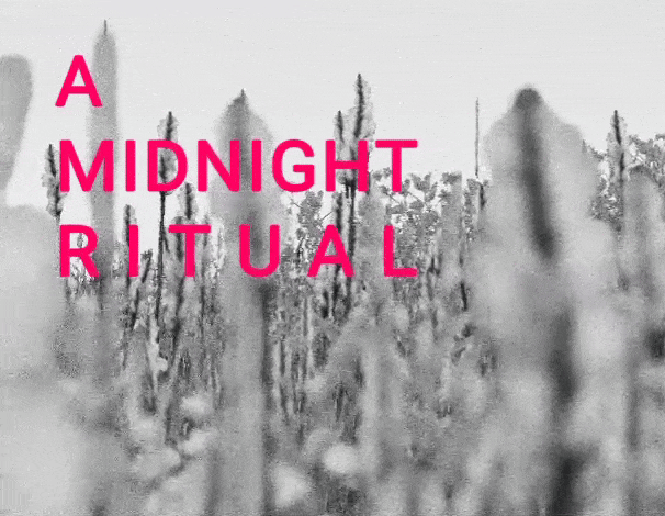A Midnight Ritual by Paws Menu