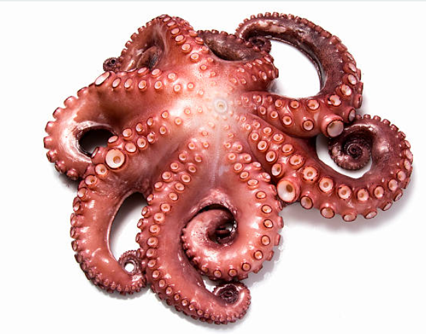 Pulpo á feira by Adrian agus