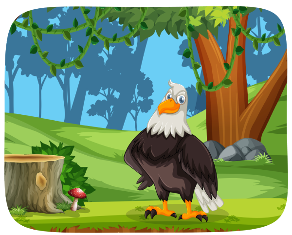 Jungle fly by Shabreen Anjum