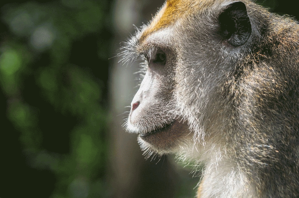 Project 3 Initial Draft by Knightmas