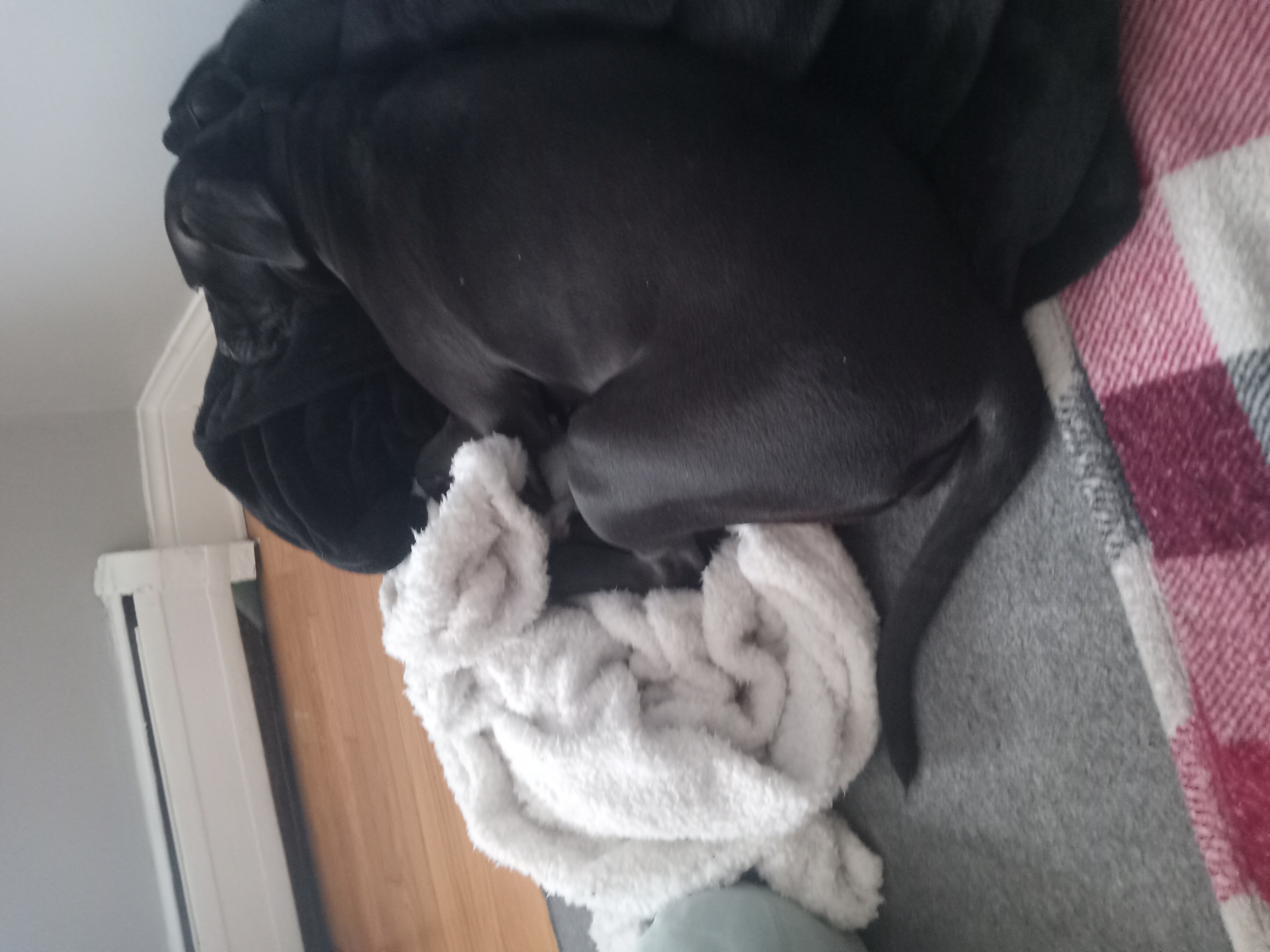 Comments 101212 to 101173 of 101809 - Sprunki by wolf_hal