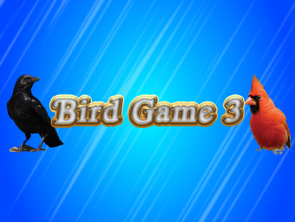 Bird Game 3 by Indium Studios
