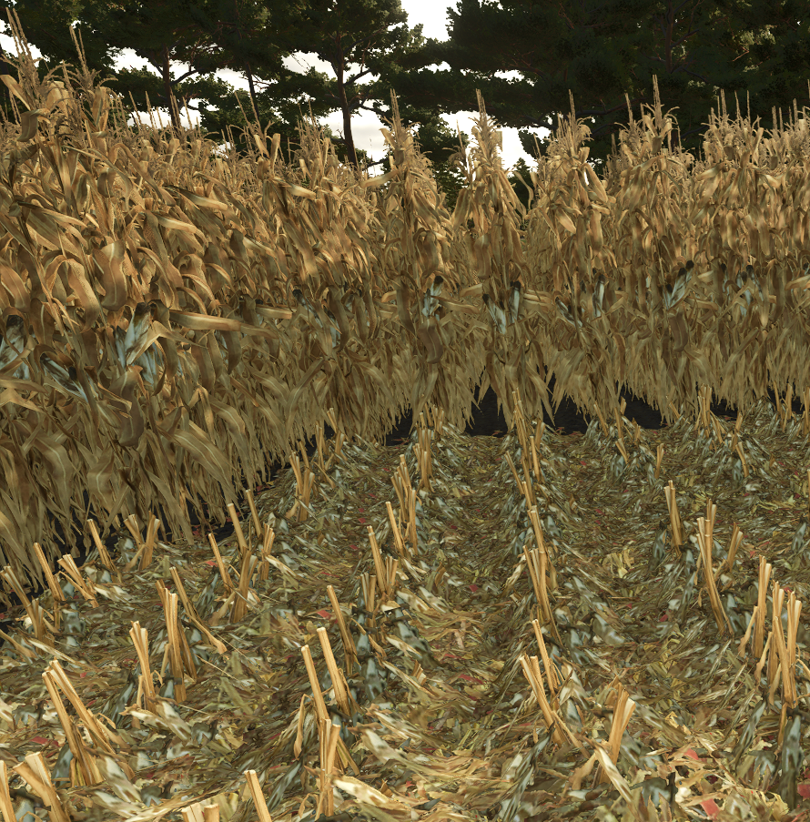 FS25 Mazie corn stalks recolored by BigBlue9988