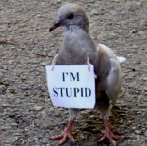 Scruffles' Devlog 8 - Detached (18+) by Scruffles