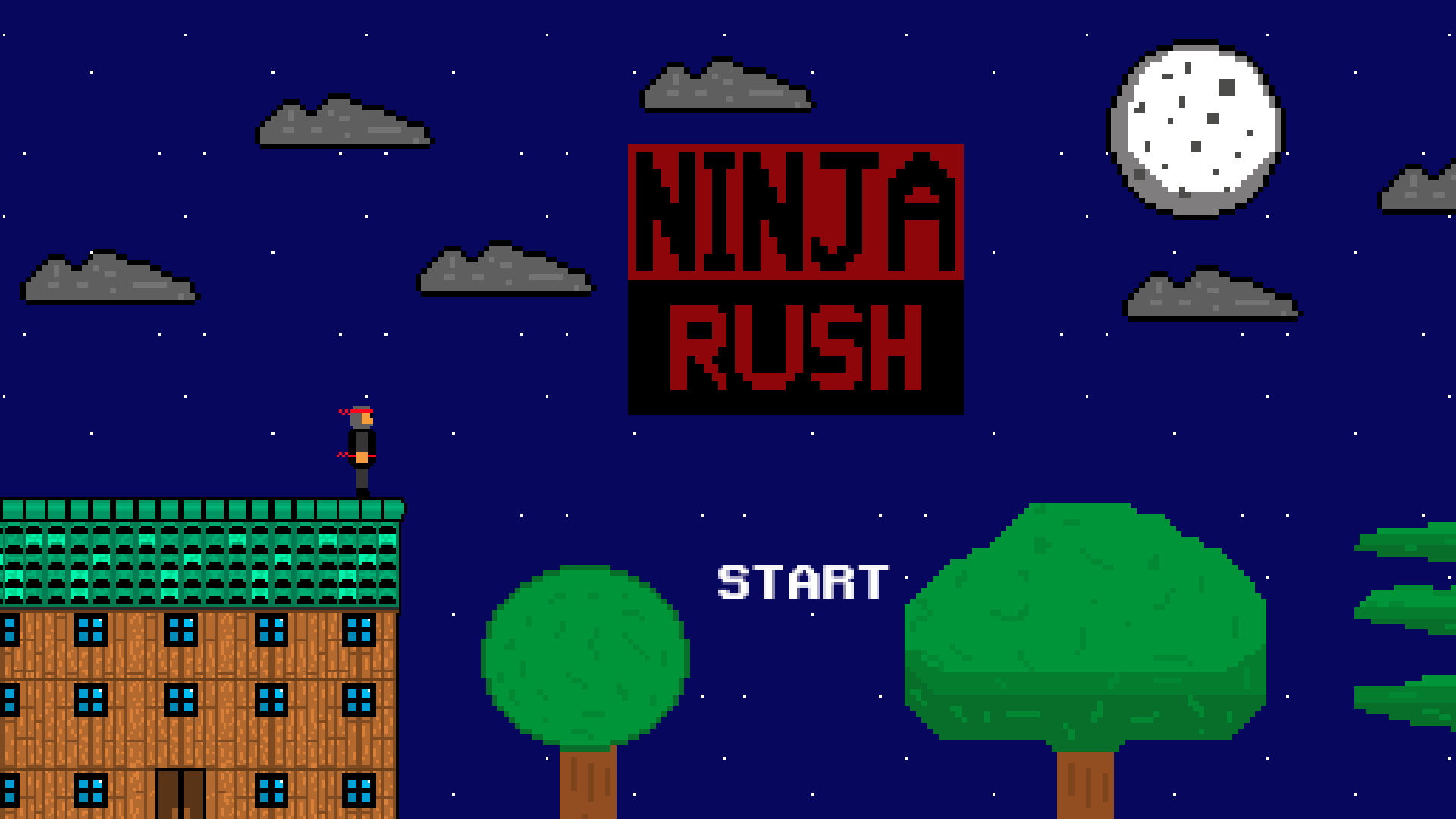 Ninja Rush by mysteriooh2